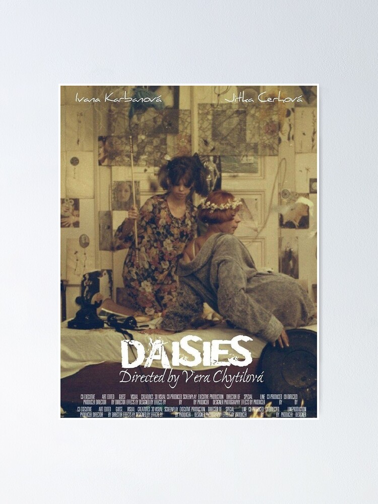 "Daisies" Poster for Sale by paullyyard | Redbubble