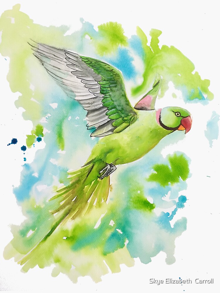 "Alexandrine Dreaming" Sticker by SkyeElizabeth | Redbubble