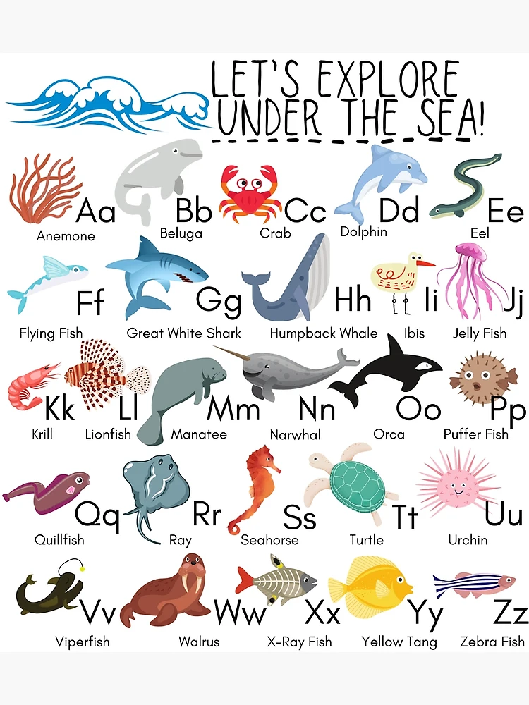 Under The Sea Wall Letters