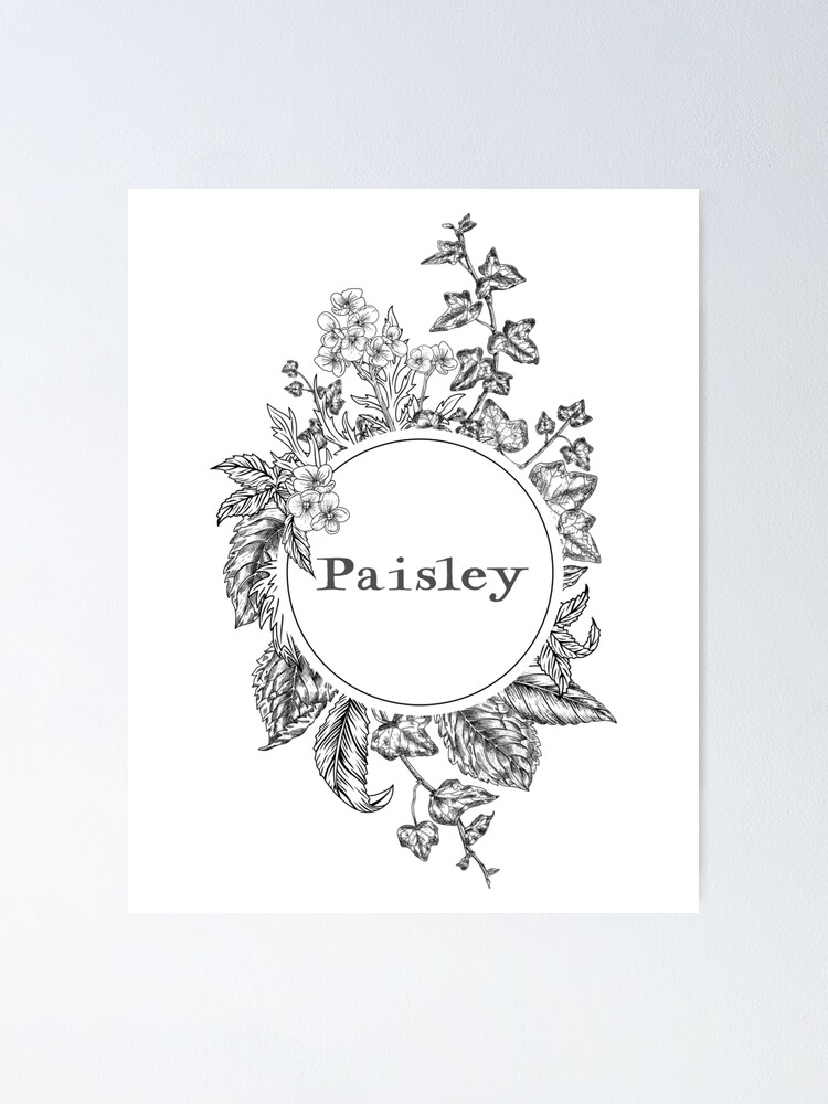 "Baby Girl Name Sign Paisley in Vintage Floral Frame | New Baby Girl ...
