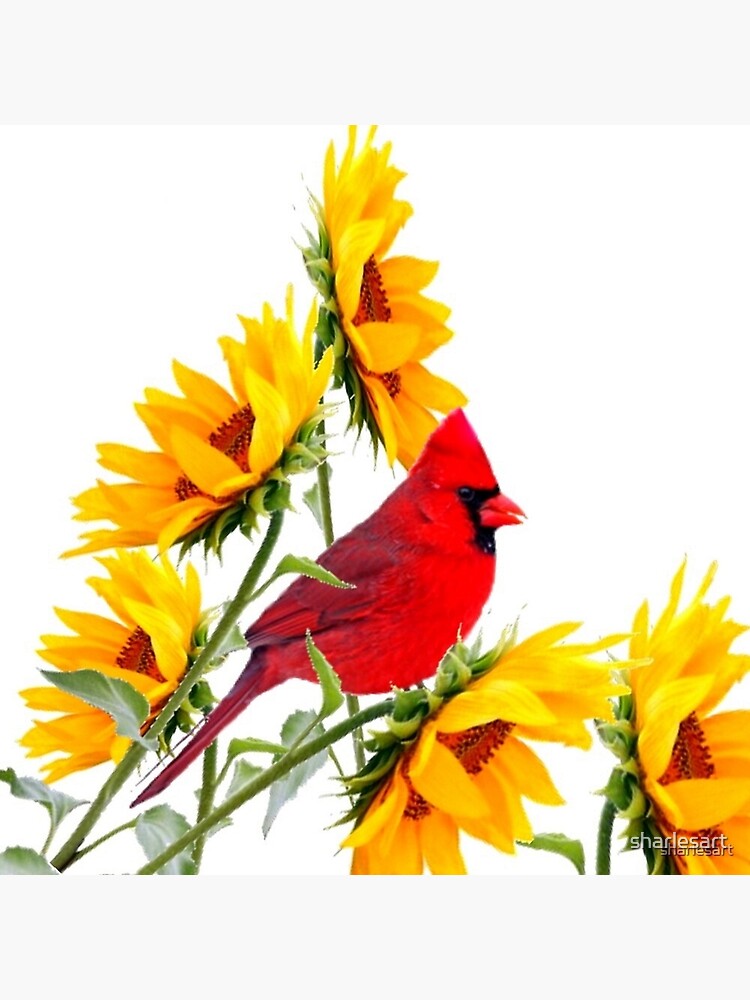 "RED CARDINAL & YELLOW SUNFLOWERS GARDEN FLORAL ART" Poster for Sale by ...