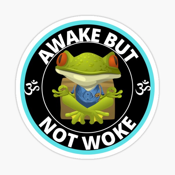 "Awake But Not Woke Funny Meditating Frog" Sticker for Sale by RGRamsey ...