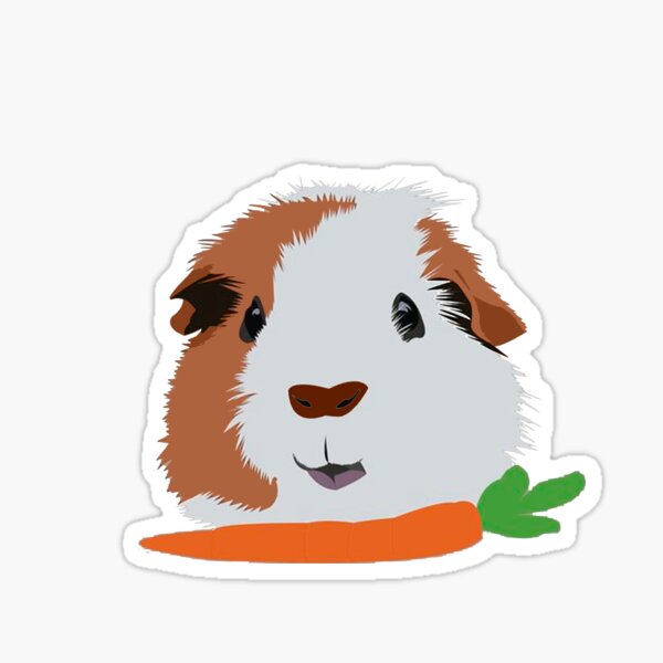 "Guinea Pigs Lovers CUYOS Cui" Sticker by Cool-Mamalown | Redbubble