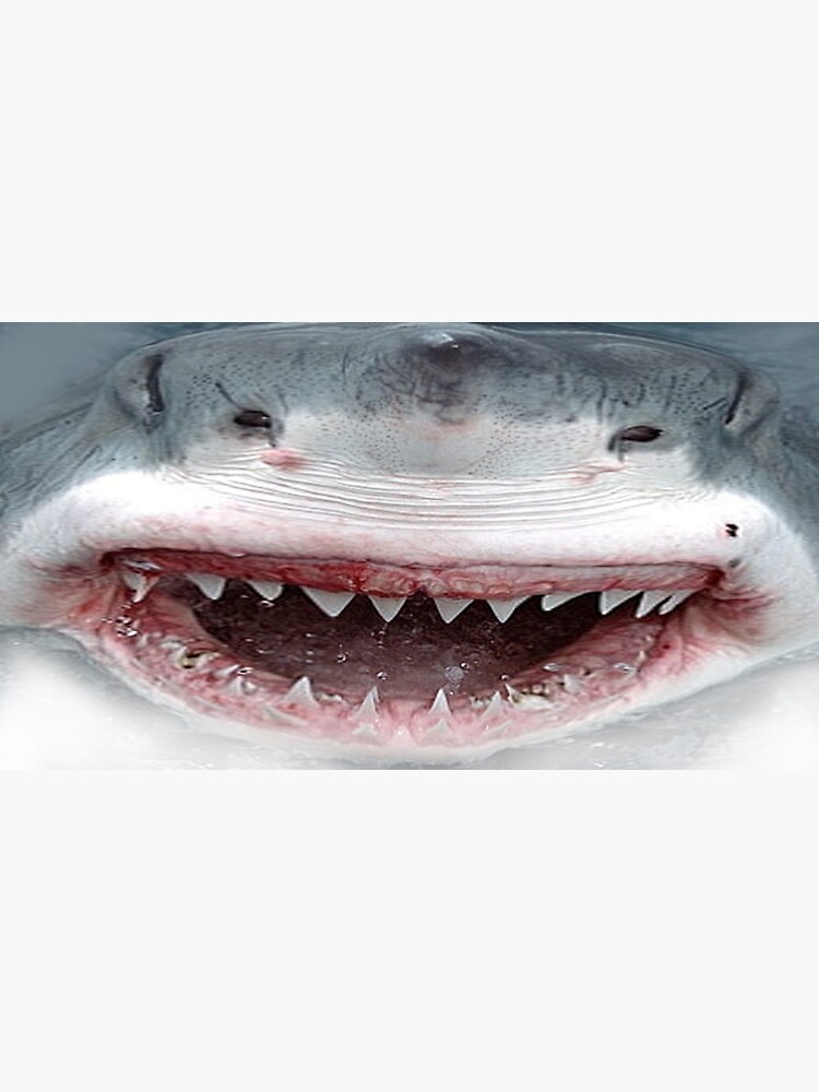 "funny shark face" Poster for Sale by hasandeniz | Redbubble