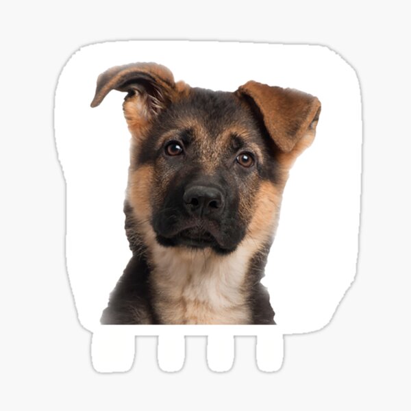 "Dog Face - Hiii t-shirt for dog face" Sticker by creapace | Redbubble