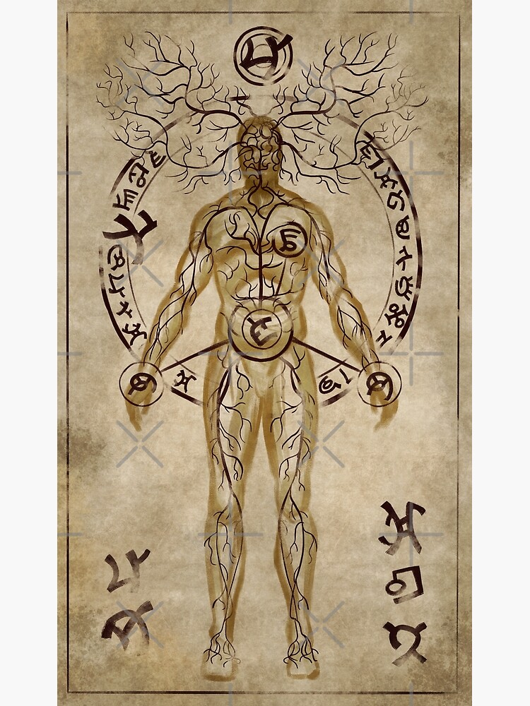 "Pathologic 2 Steppe Anatomy Diagram" Poster for Sale by lassusconfusa ...