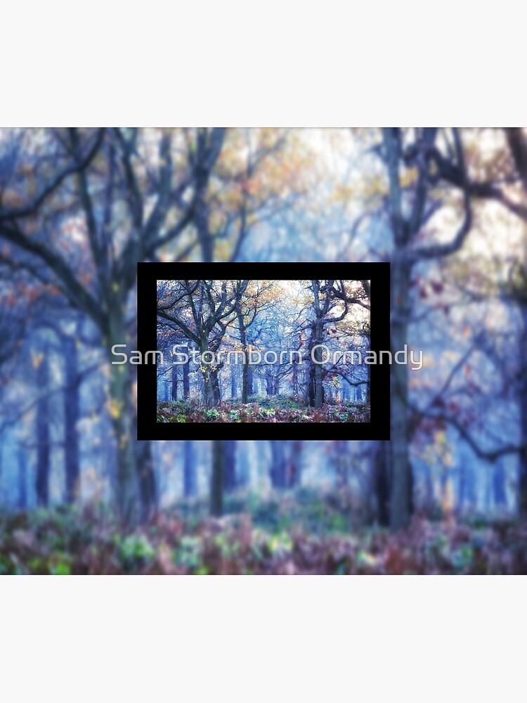 "The Enchanted Forest Landscape with Single border" Poster for Sale by ...