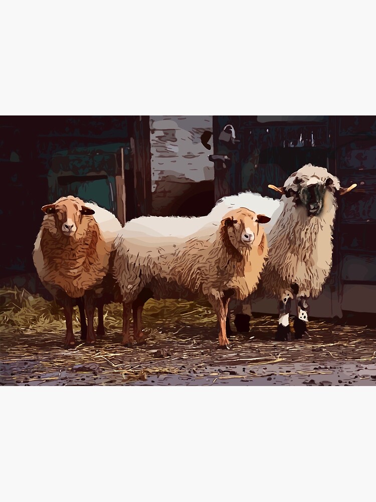 "Sheep shed" Poster for Sale by Marikberghs | Redbubble