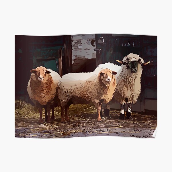 "Sheep shed" Poster for Sale by Marikberghs | Redbubble