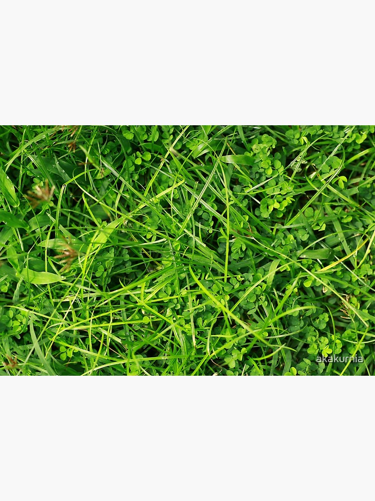 "the green grass" Poster for Sale by akakurnia | Redbubble