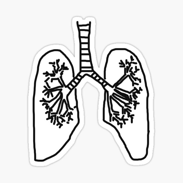"Respiratory system" Sticker by MacaMacaMaca | Redbubble