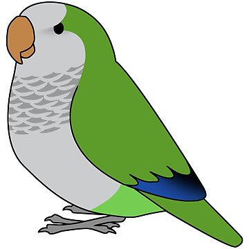 "Fluffy wild green quaker parrot cartoon drawing" Sticker for Sale by ...