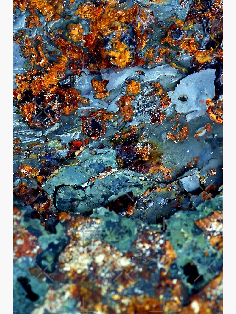 "down at the bottom of the deep blue sea..." Metal Print by richman ...