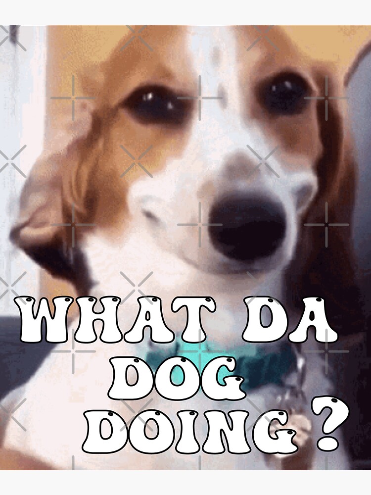 "What Da Dog Doing Funny Dog Meme" Sticker for Sale by Moonraker21 ...