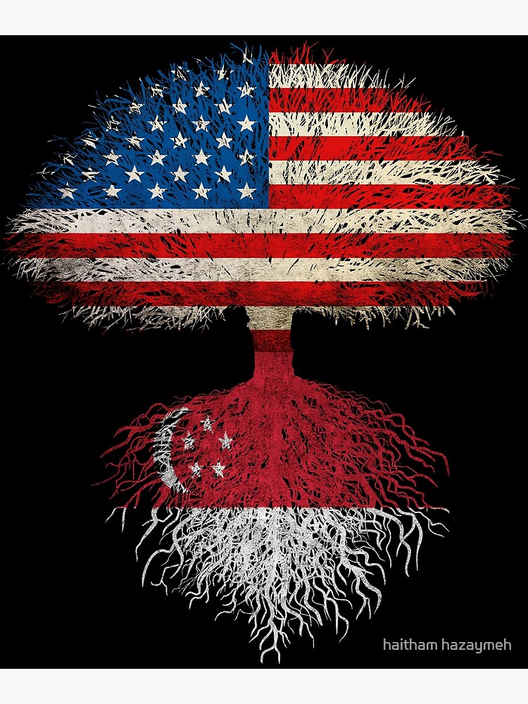"American Flag Singapore Roots Singapore Flag T-Shirt, Singapore ...