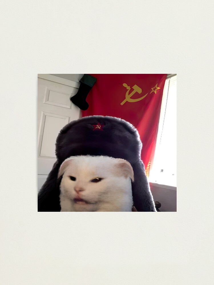 Lámina fotográfica «My Smudge Cat es COMUNISTA y SOCIALISTA - Comunismo ...