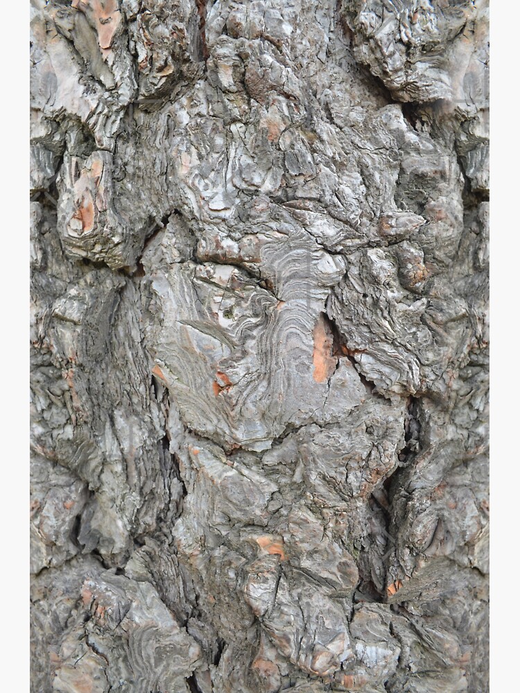 "Rock tree bark texture" Sticker by shagilani | Redbubble