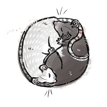 Rat Yin Yang Tattoos