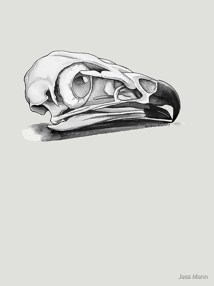 "Hawk Skull Drawing" T-shirt for Sale by jessmann | Redbubble | skull t ...