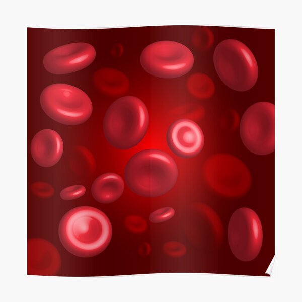 "Red blood cells" Poster by BelitaArt | Redbubble