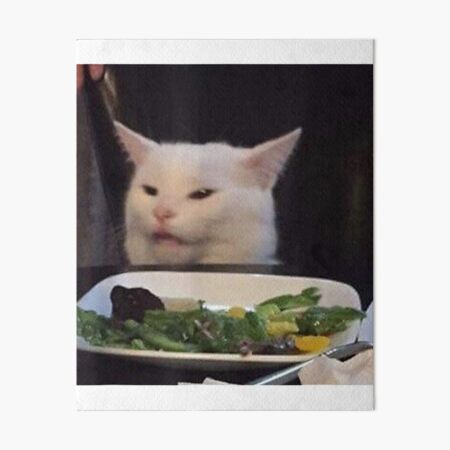 "Dinner Table Cat Meme Funny Internet Yelling Confused" Art Board Print ...