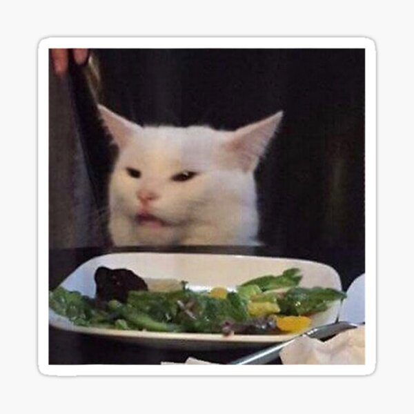 "Dinner Table Cat Meme Funny Internet Yelling Confused" Sticker by ...