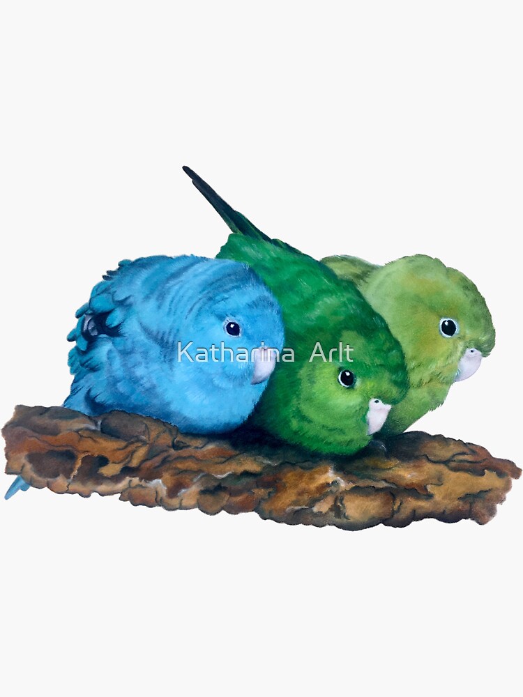 "Lineolated Parakeets" Sticker by KatharinaArlt | Redbubble
