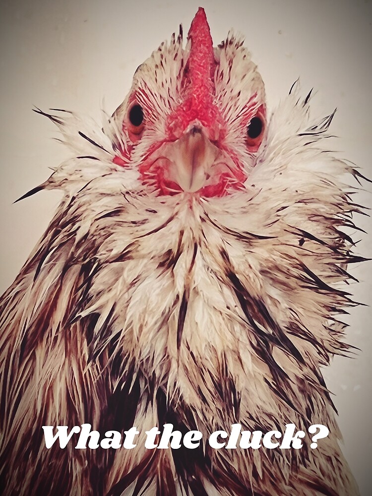 "What the cluck" Poster for Sale by TrojanHorseNews | Redbubble