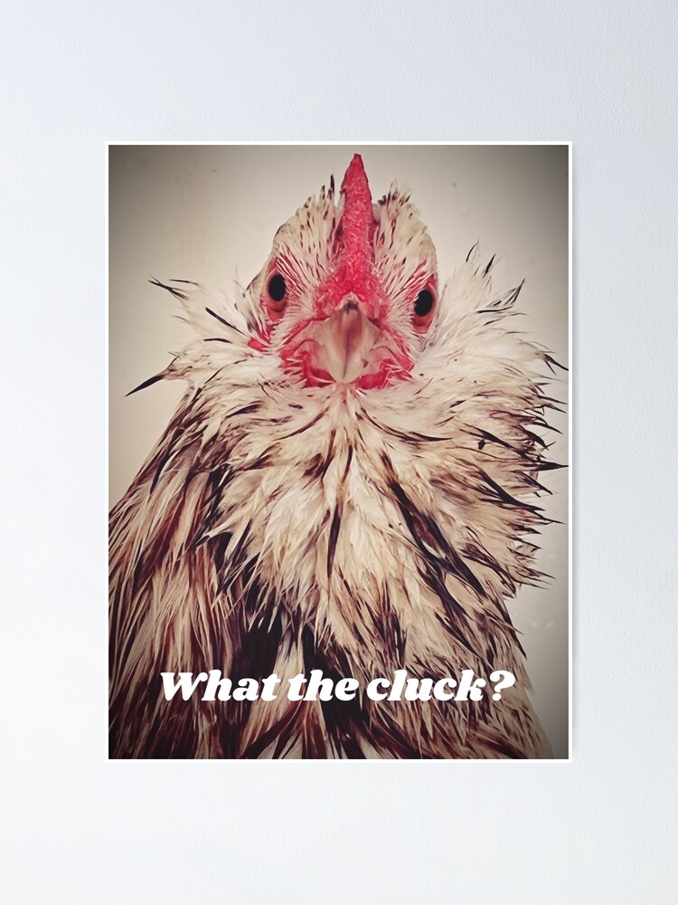 "What the cluck" Poster for Sale by TrojanHorseNews | Redbubble