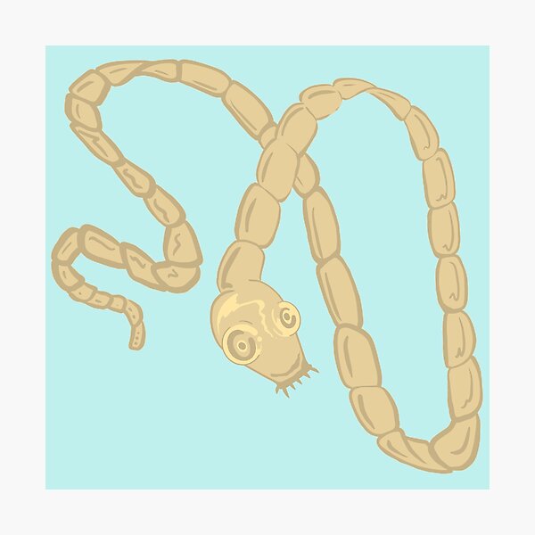 Lámina fotográfica «Parásito de tenia de dibujos animados amigable» de ...