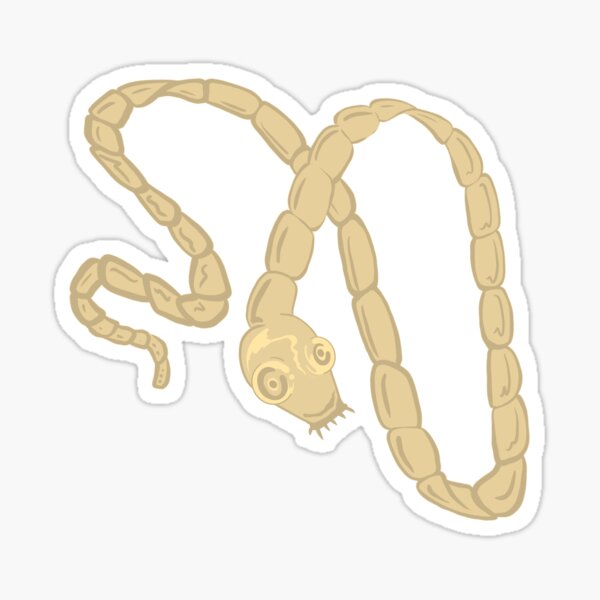 "Friendly Cartoon Tapeworm Parasite" Sticker by LizShutts | Redbubble