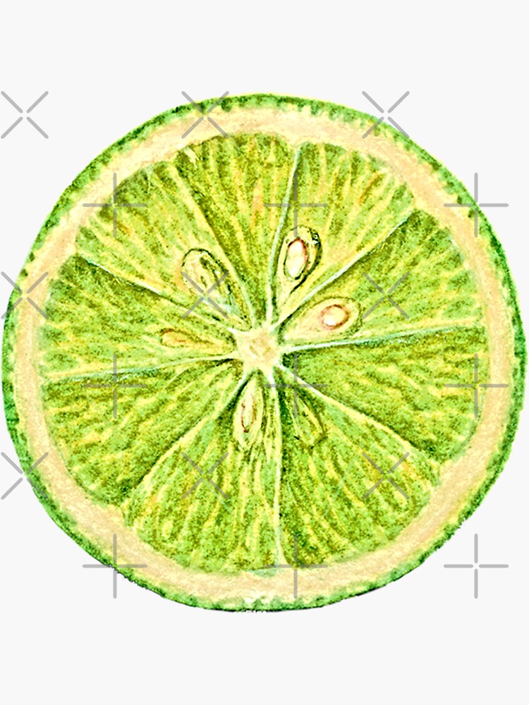 "Lime Slice" Sticker by CluelessC | Redbubble