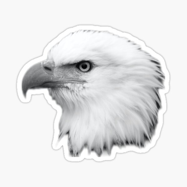"black & white American Eagle" Sticker by Ghostvaper | Redbubble