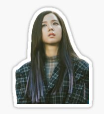 Jisoo Black Pink: Stickers | Redbubble
