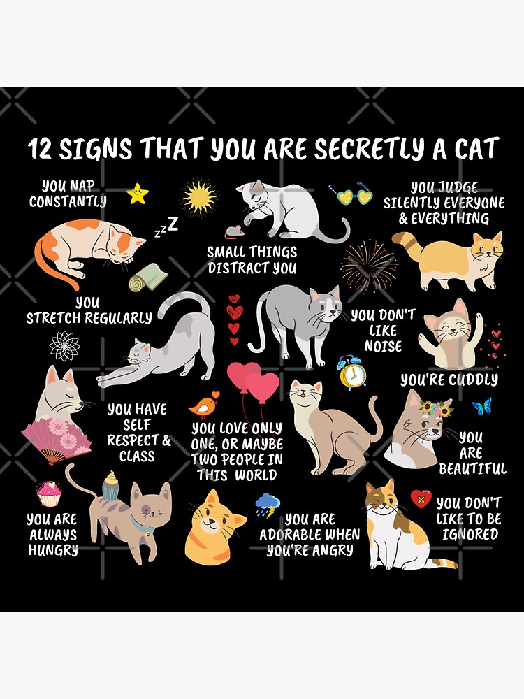 "12 Signs That You Are Secretly a Cat Gifts For Cat Lovers Crazy Cat ...