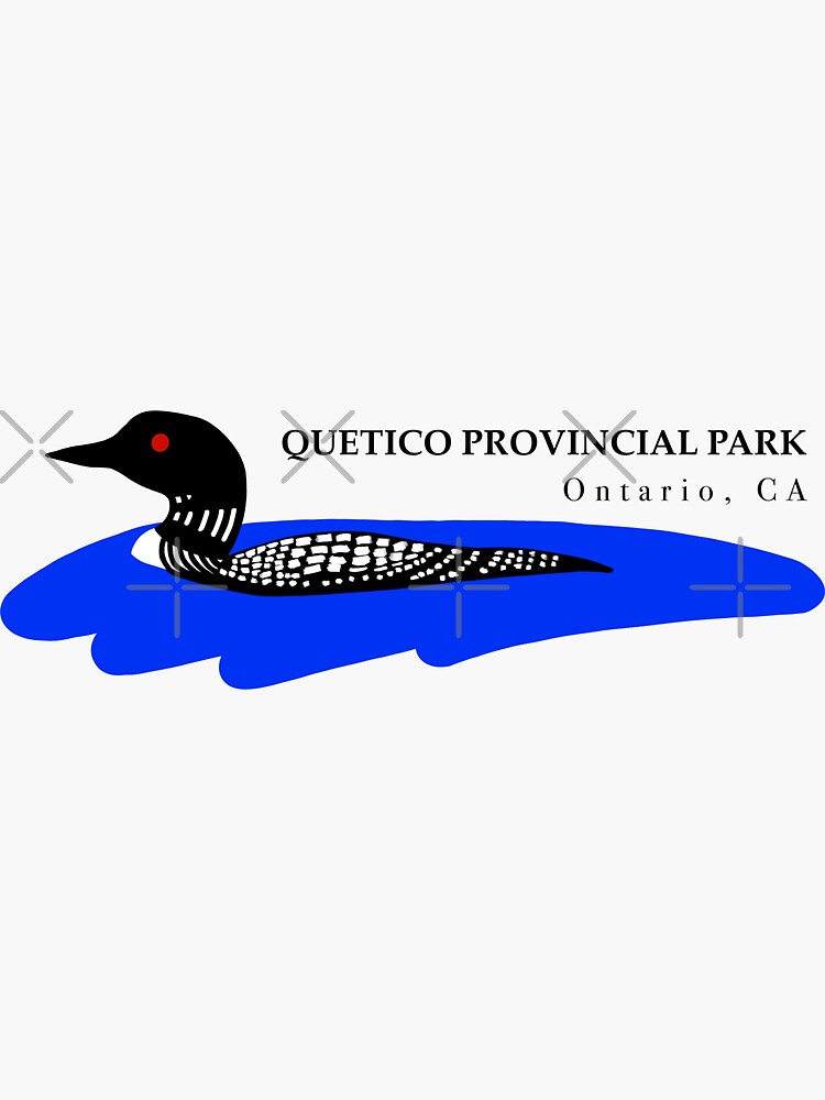 "Quetico Loon Print Graphic" Sticker by CoryPeeples | Redbubble
