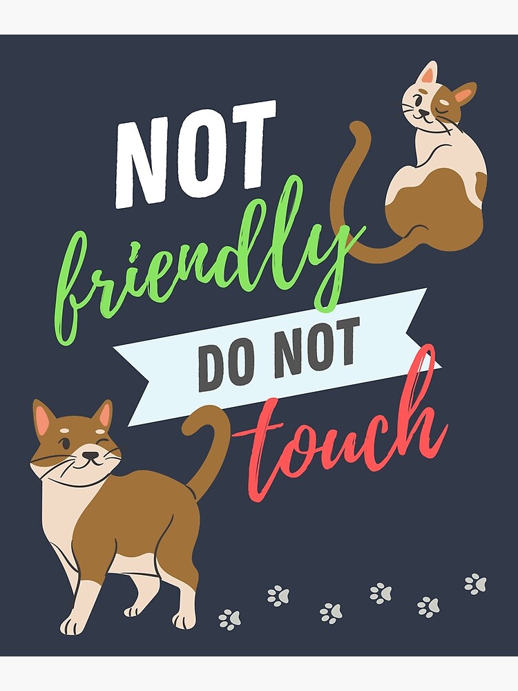 "Not Friendly Do Not Touch " Poster for Sale by goofygirly | Redbubble