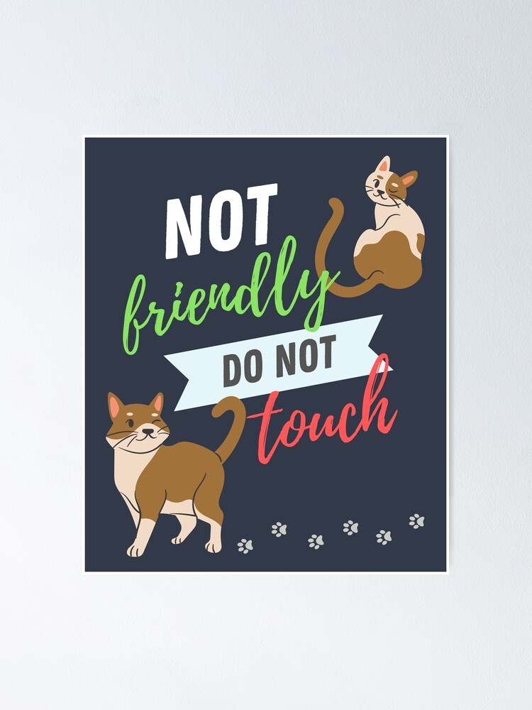 "Not Friendly Do Not Touch " Poster for Sale by goofygirly | Redbubble