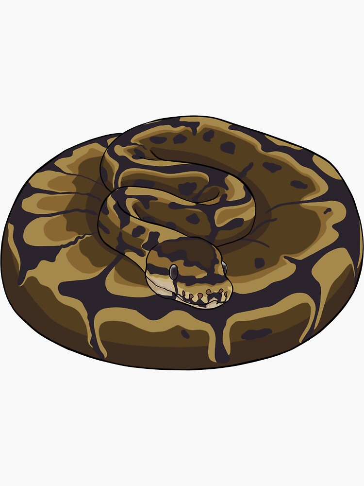 "Normal Ball Python" Sticker for Sale by emmamaitland | Redbubble