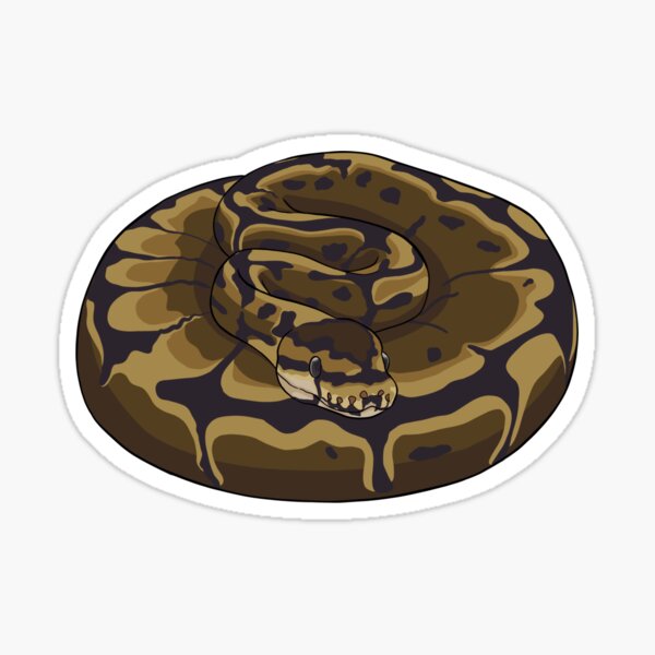 "Normal Ball Python" Sticker for Sale by emmamaitland | Redbubble