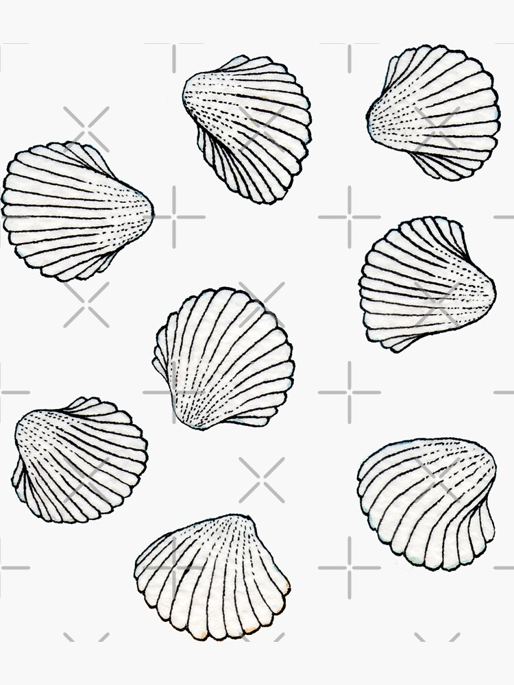 "Cockle Shells Lineart" Sticker for Sale by euniza | Redbubble