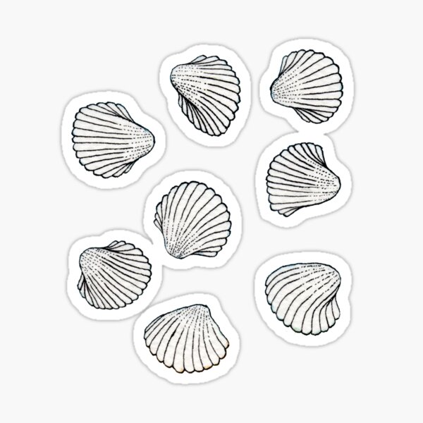 "Cockle Shells Lineart" Sticker for Sale by euniza | Redbubble