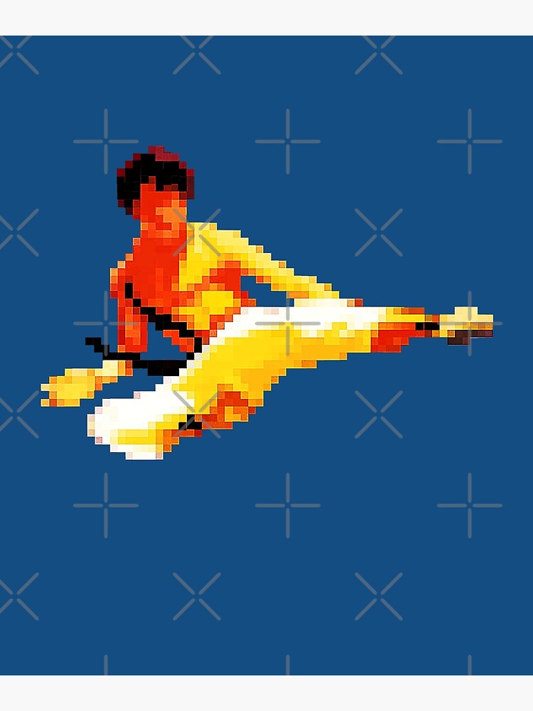 "Karate Kick Kung Fu Pixel Art" Poster for Sale by IronEcho | Redbubble