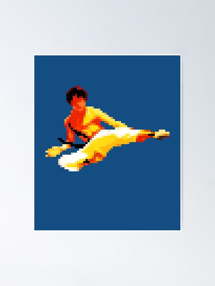"Karate Kick Kung Fu Pixel Art" Poster for Sale by IronEcho | Redbubble