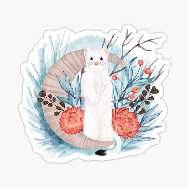 "Winter Weasel" Sticker for Sale by WildAliceArt | Redbubble