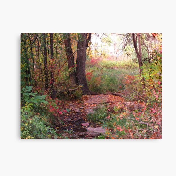 "The woods on Sinton Pond (1)...Colorado Springs" Canvas Print by ...