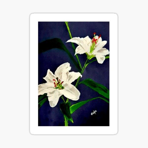 "White Lily " Sticker for Sale by RasikaMahajan | Redbubble