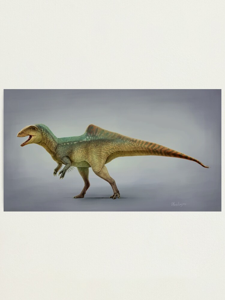 "Concavenator. 2021. Cuenca's Hunchback Dinosaur Hunter" Photographic ...