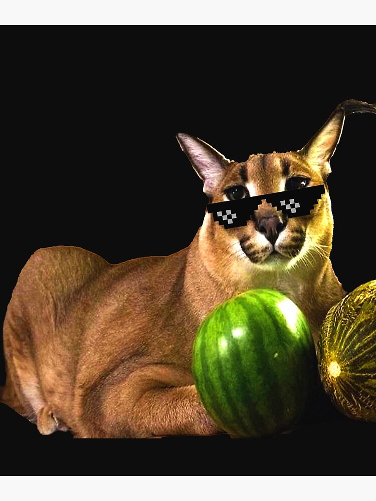 "Big Floppa" Photographic Print for Sale by mzusa | Redbubble