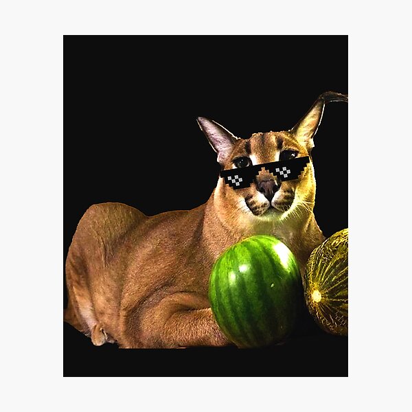 "Big Floppa" Photographic Print for Sale by mzusa | Redbubble